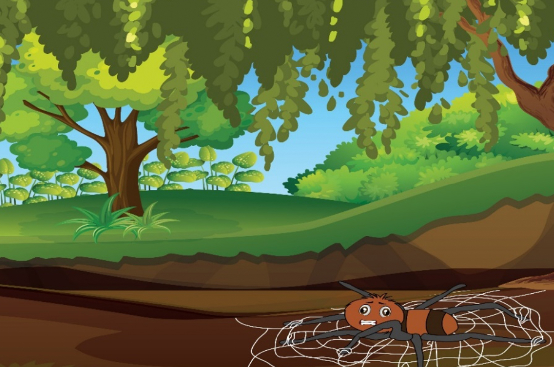 Ananse the Spider’s Folk Tales from African Culture in honor of Black ...